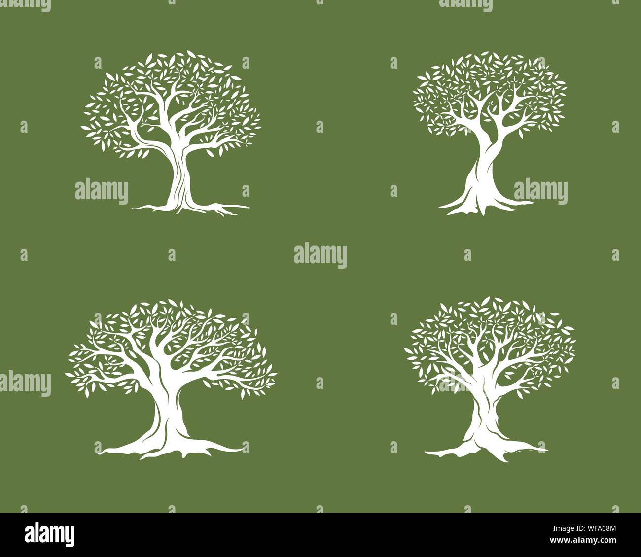 Olive tree vector illustration design template Stock Vector Image & Art ...