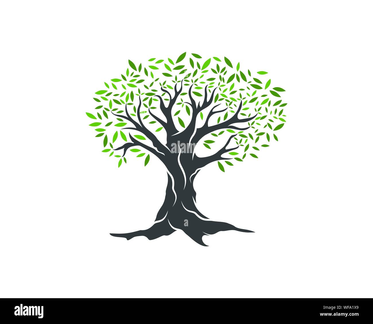 Olive tree vector illustration design template Stock Vector Image & Art ...