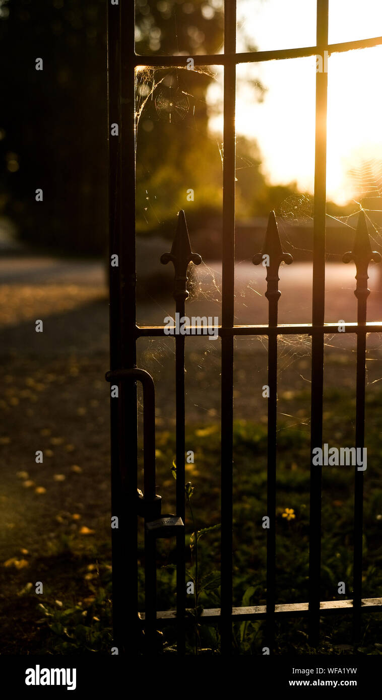 Metal gate field hi-res stock photography and images - Alamy