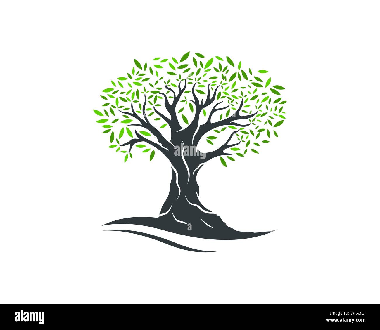 Olive tree vector illustration design template Stock Vector Image & Art ...