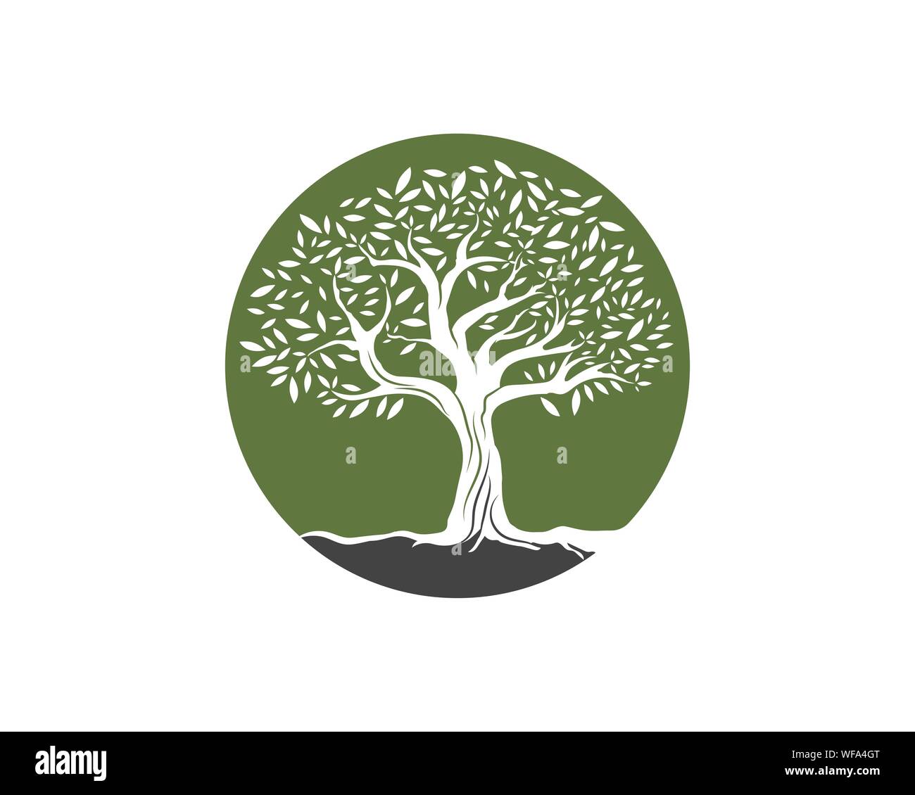 Olive tree vector illustration design template Stock Vector Image & Art ...