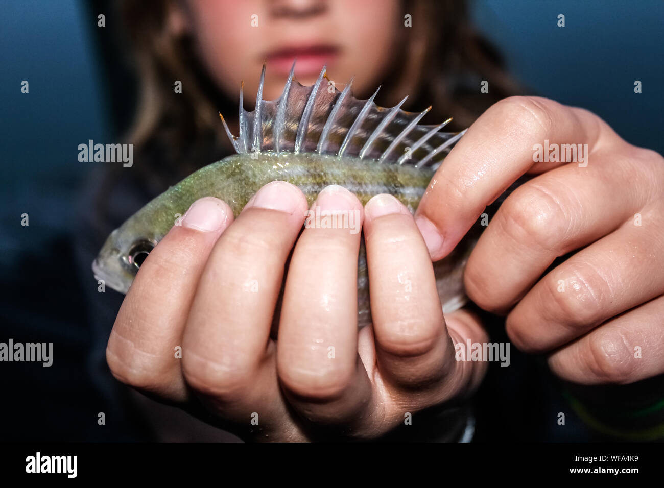 Human face fish hi-res stock photography and images - Alamy