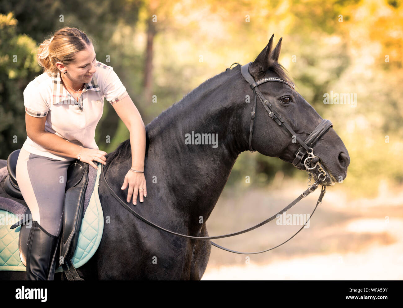 riding girl are training her black horse Stock Photo - Alamy