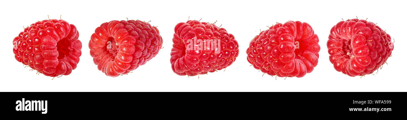 Raspberry isolated on white background Stock Photo - Alamy
