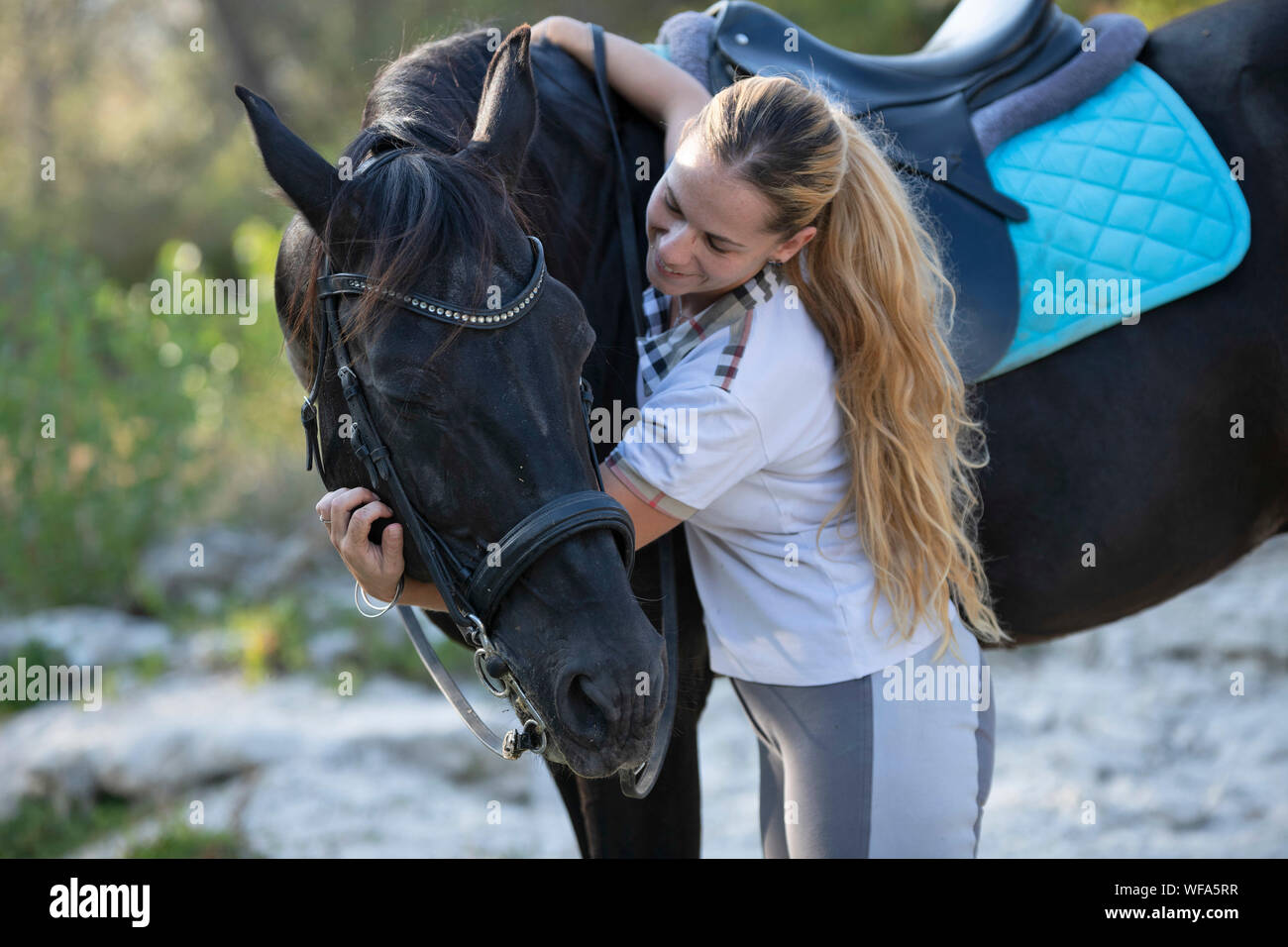 riding girl are training her black horse Stock Photo - Alamy