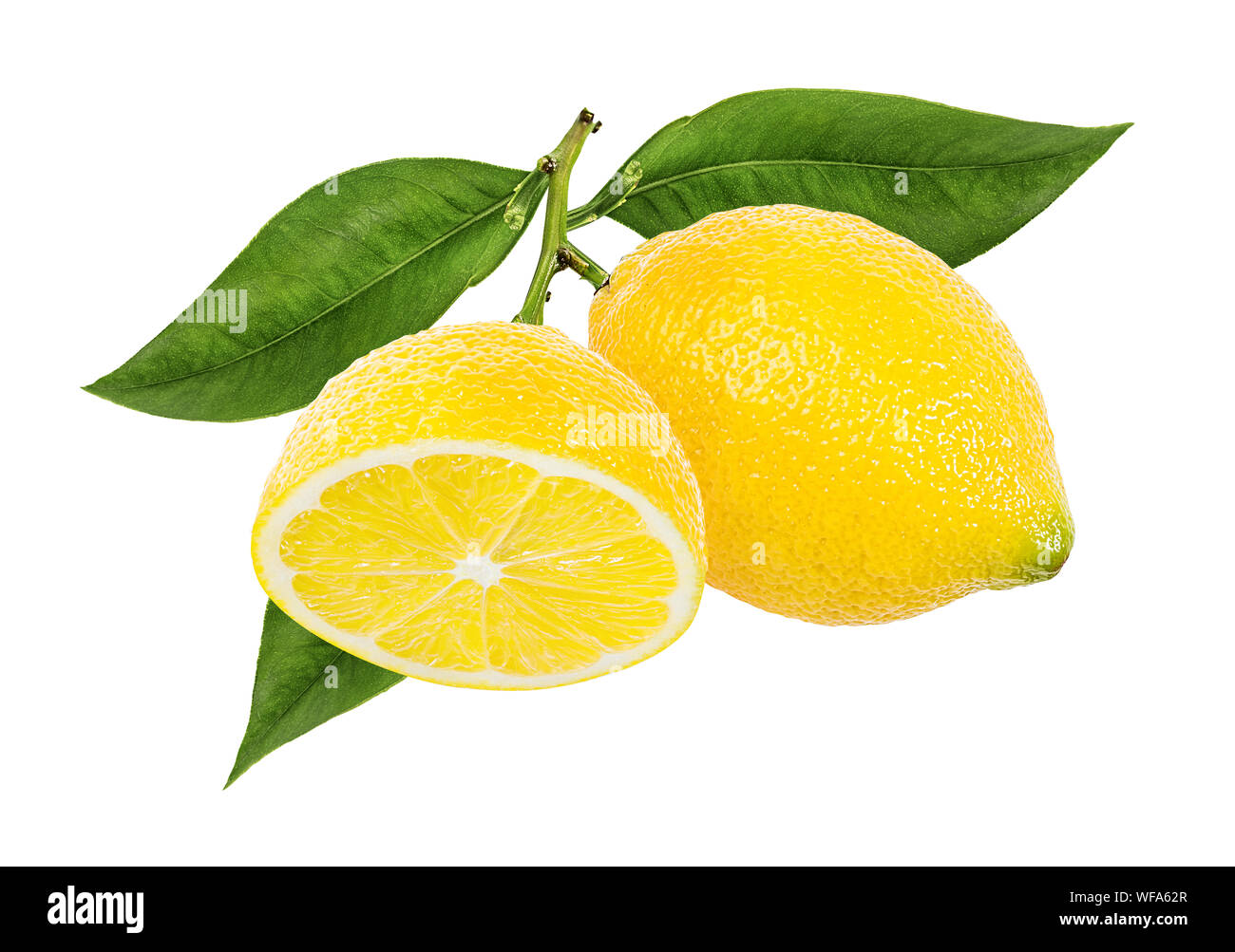 lemon isolated on white background Stock Photo - Alamy