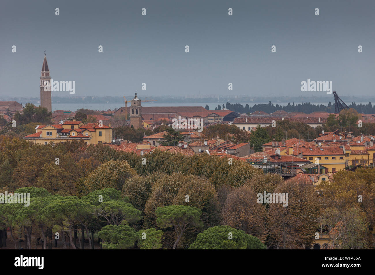 Autumn-colored trees with roofs, houses and churchs background, Venice ...