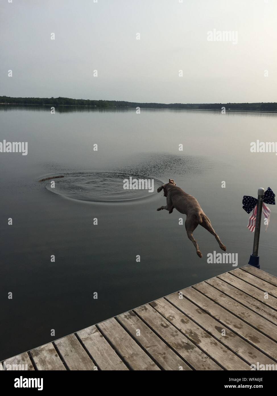 Jumping Off Dock High Resolution Stock Photography and Images - Alamy