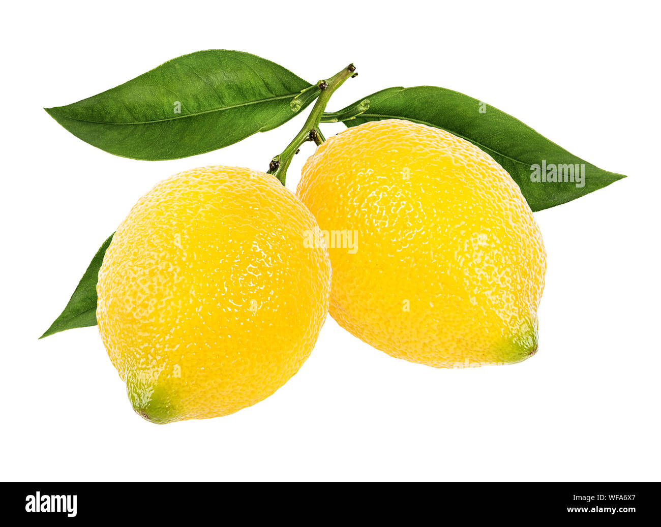 lemon isolated on white background Stock Photo - Alamy
