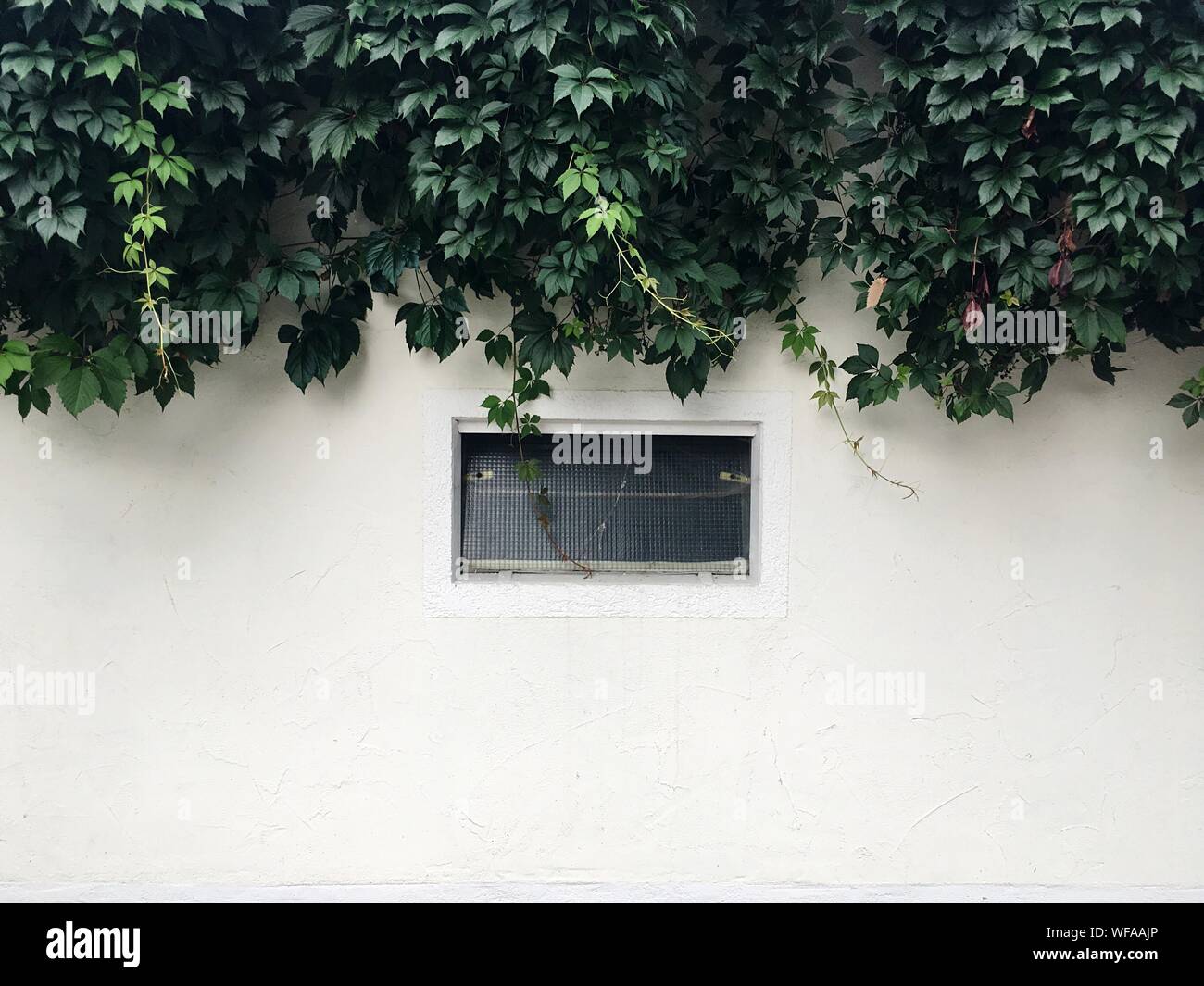 Below the window hi-res stock photography and images - Alamy