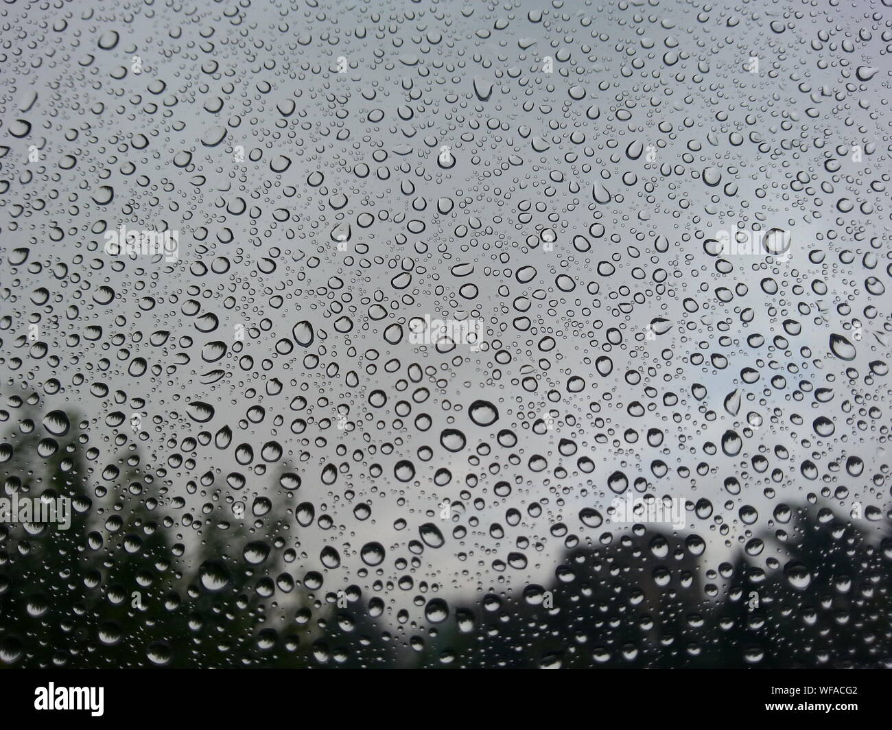 Top view rain hi-res stock photography and images - Alamy