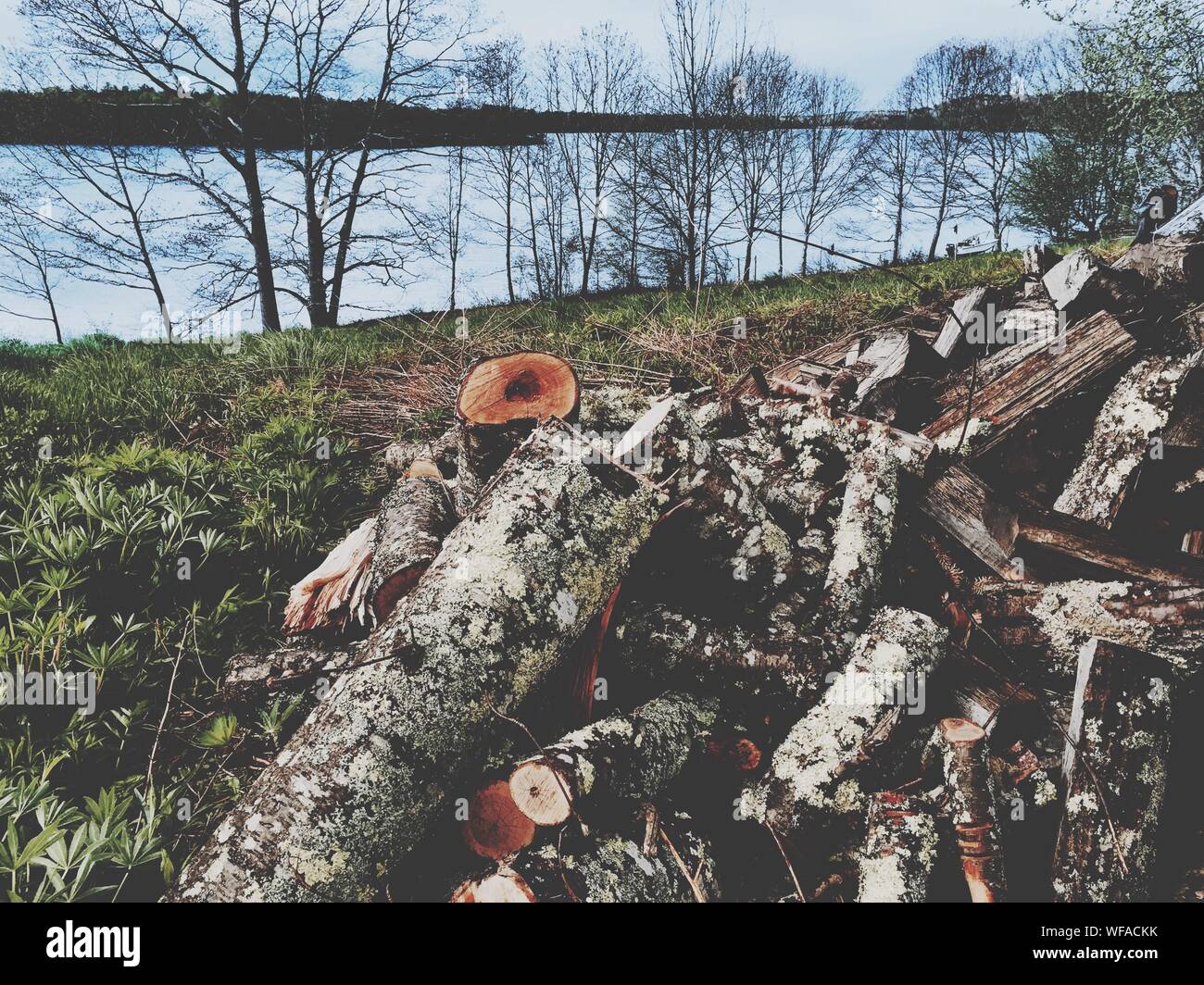 Pile field hi-res stock photography and images - Alamy