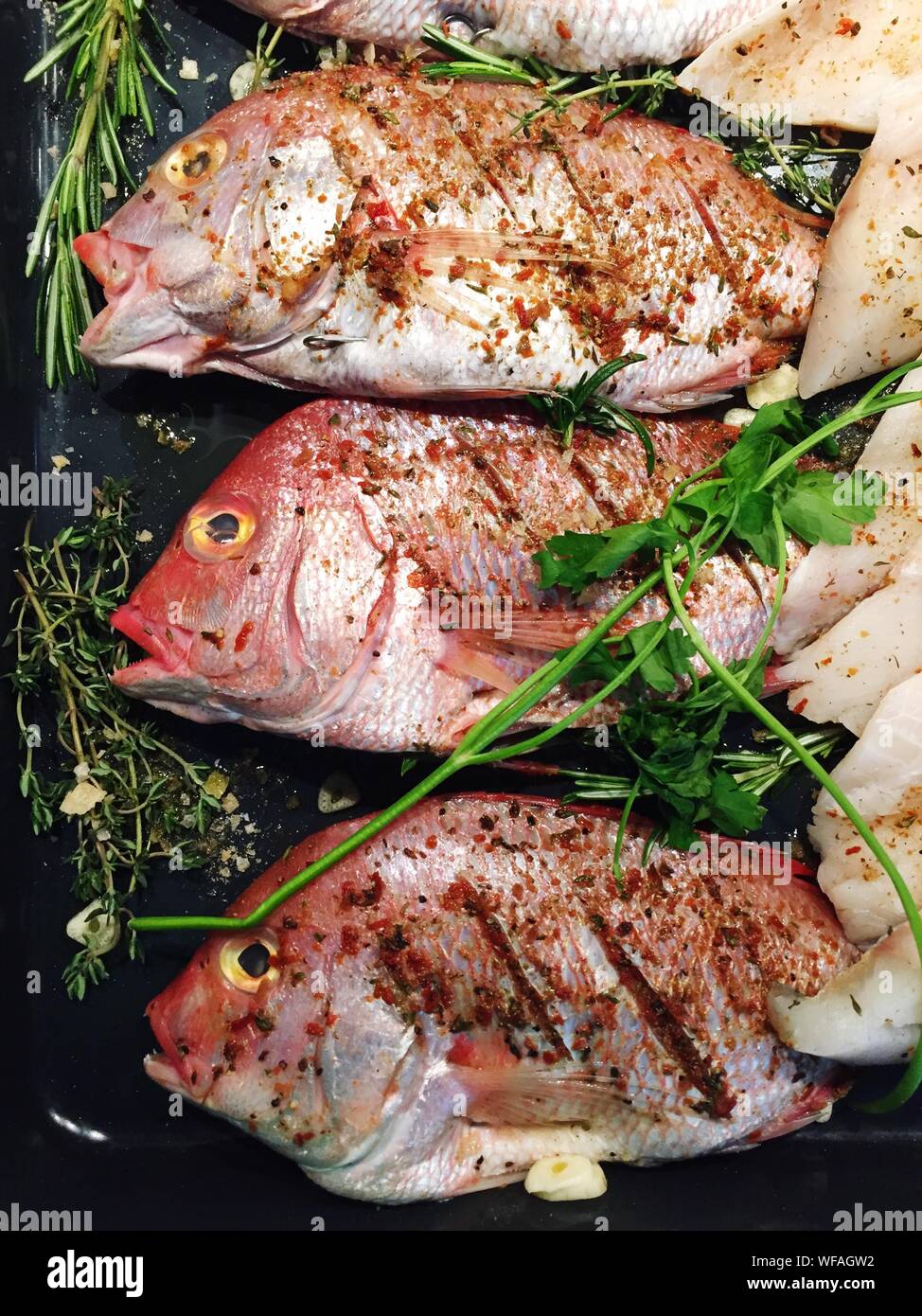 Bream fish hi-res stock photography and images - Alamy