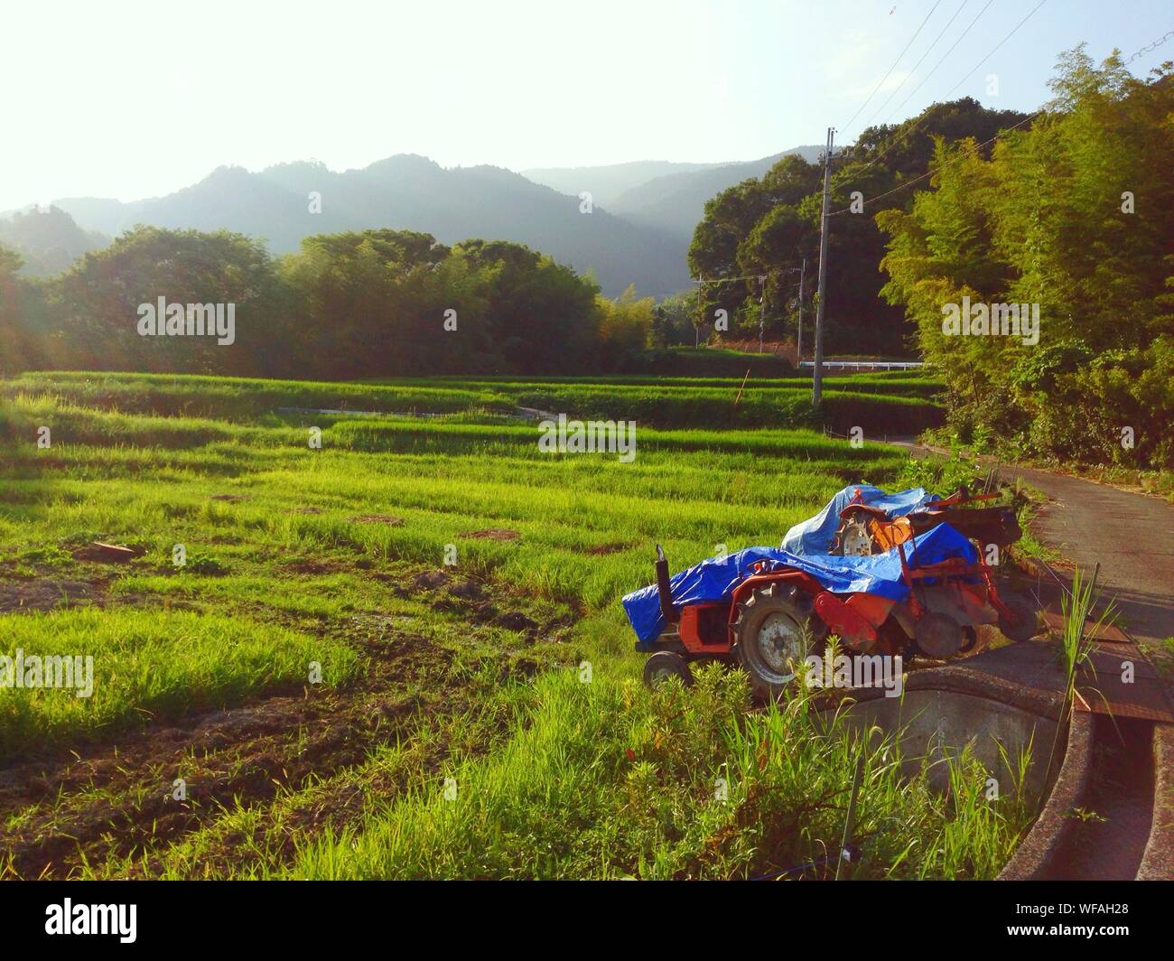 Farm tractors green hi-res stock photography and images - Alamy