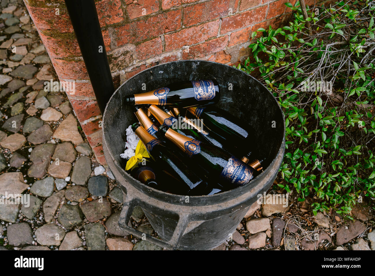 champagne bottles in a bin at the end of a wedding party Stock Photo ...