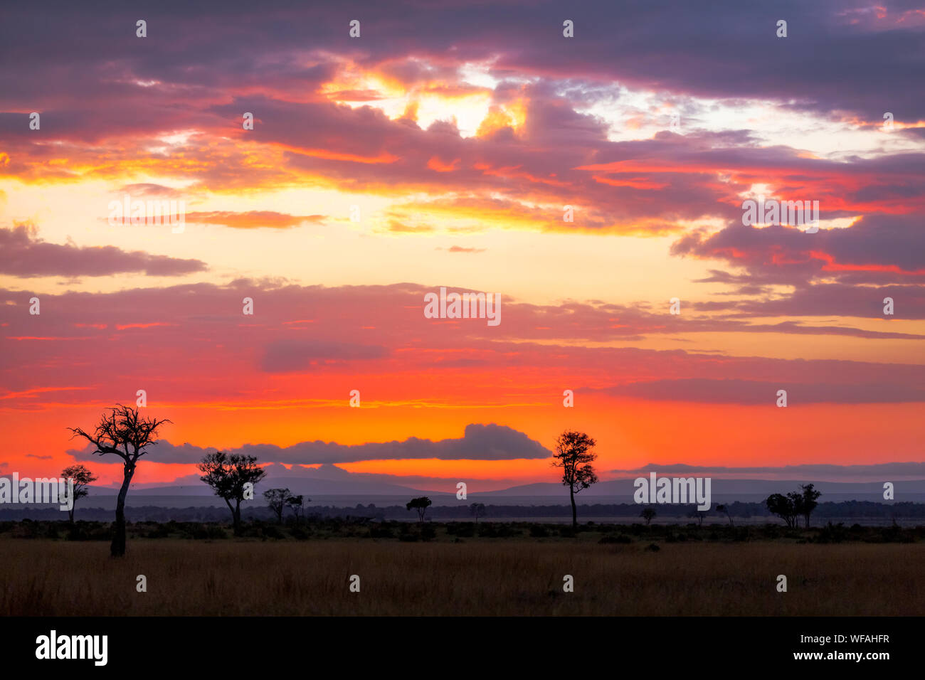 Oloololo escarpment and masai mara hi-res stock photography and images ...