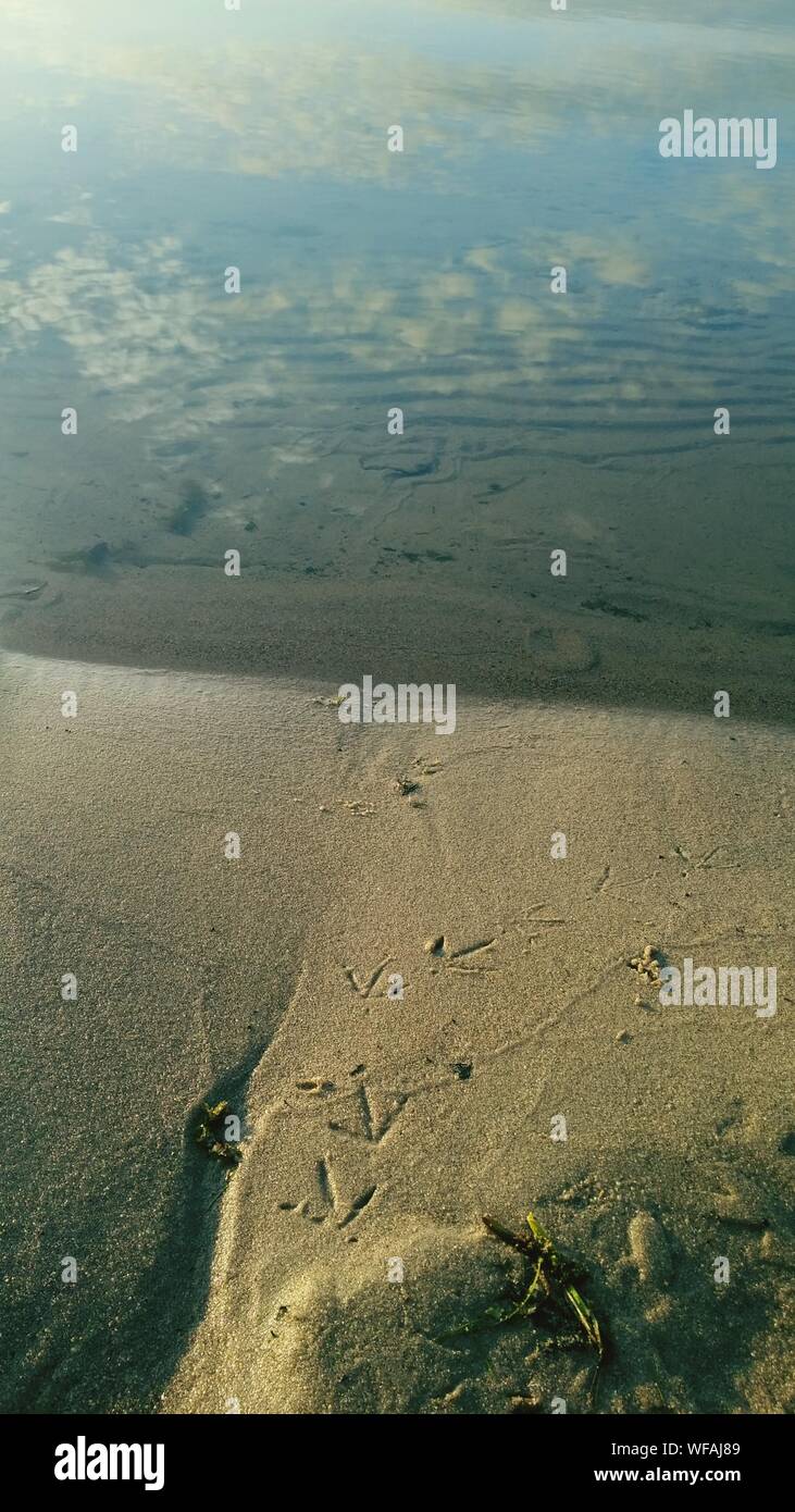 Shore track hi-res stock photography and images - Alamy