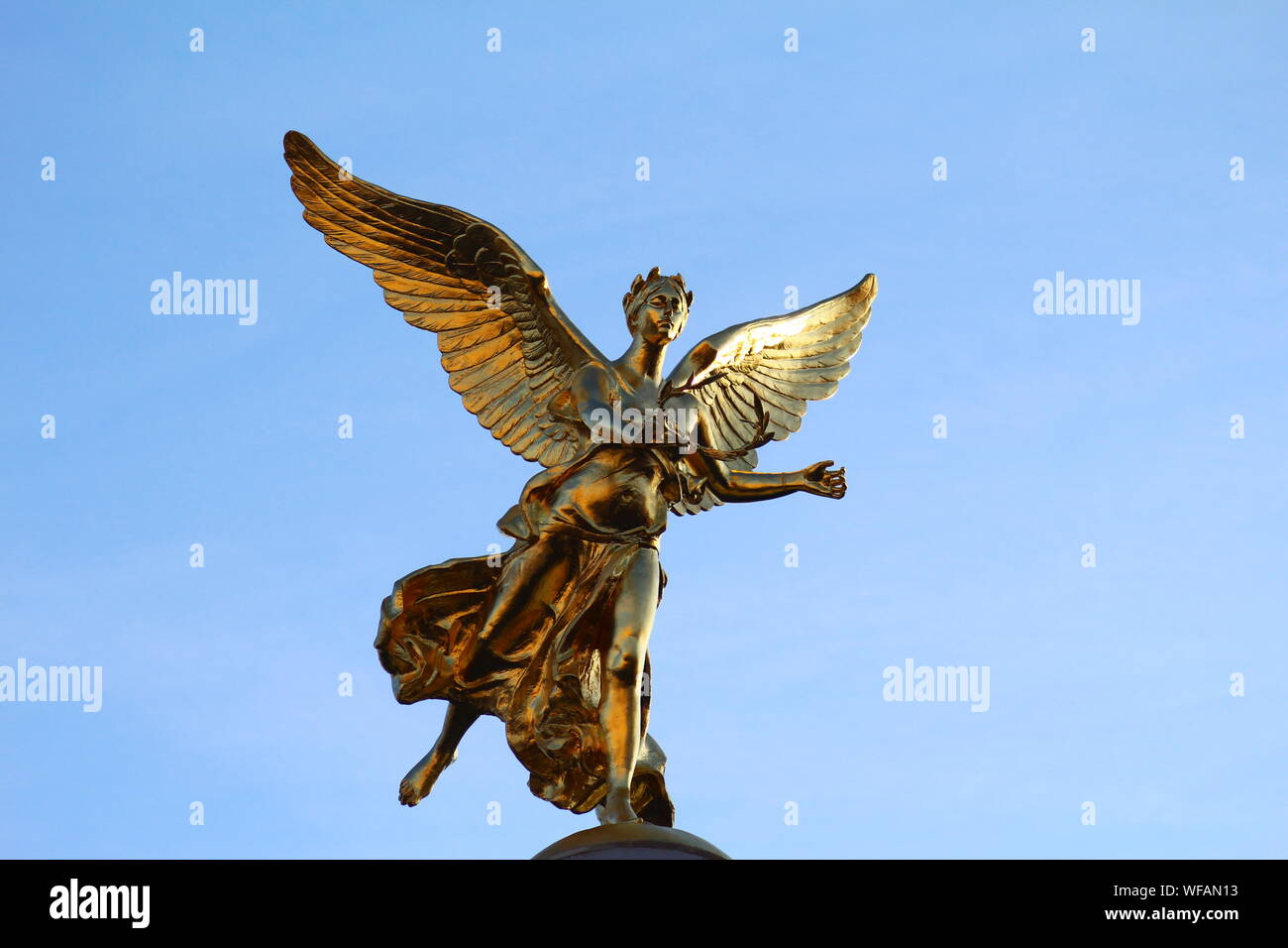 Gold angle wings hi-res stock photography and images - Alamy