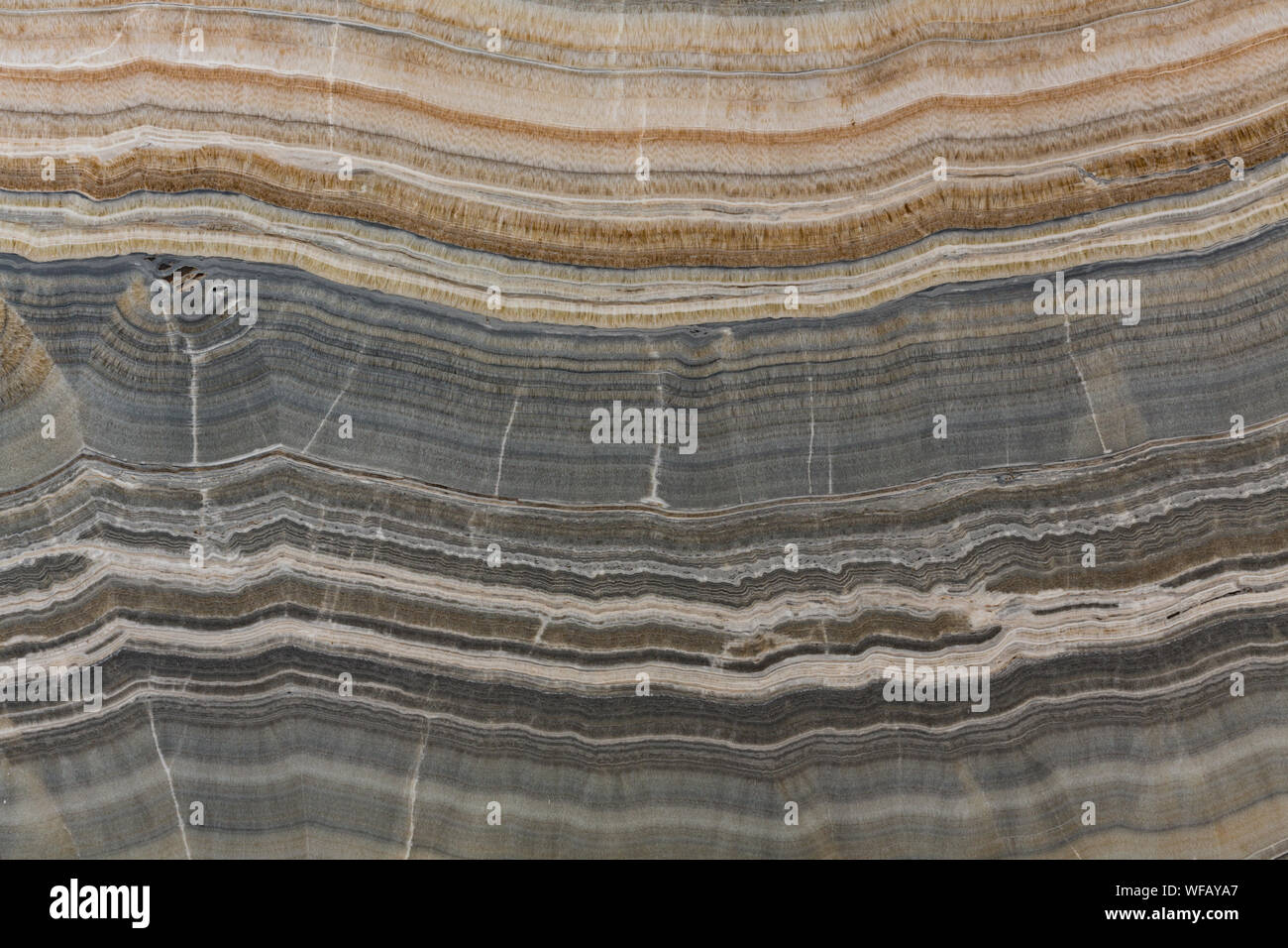 Light texture for your new interior in classic style Stock Photo - Alamy