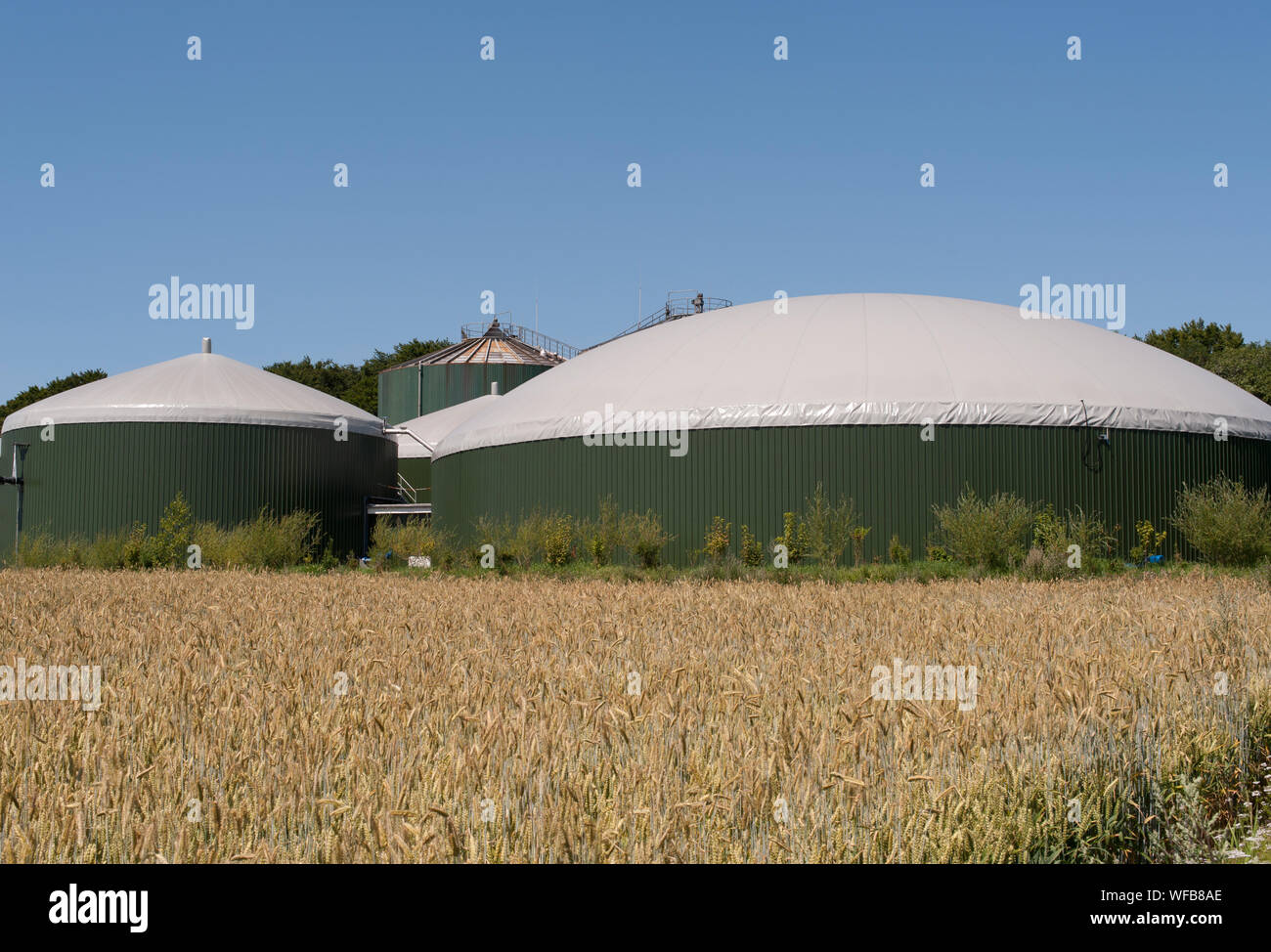 Biogas power plant hi-res stock photography and images - Alamy
