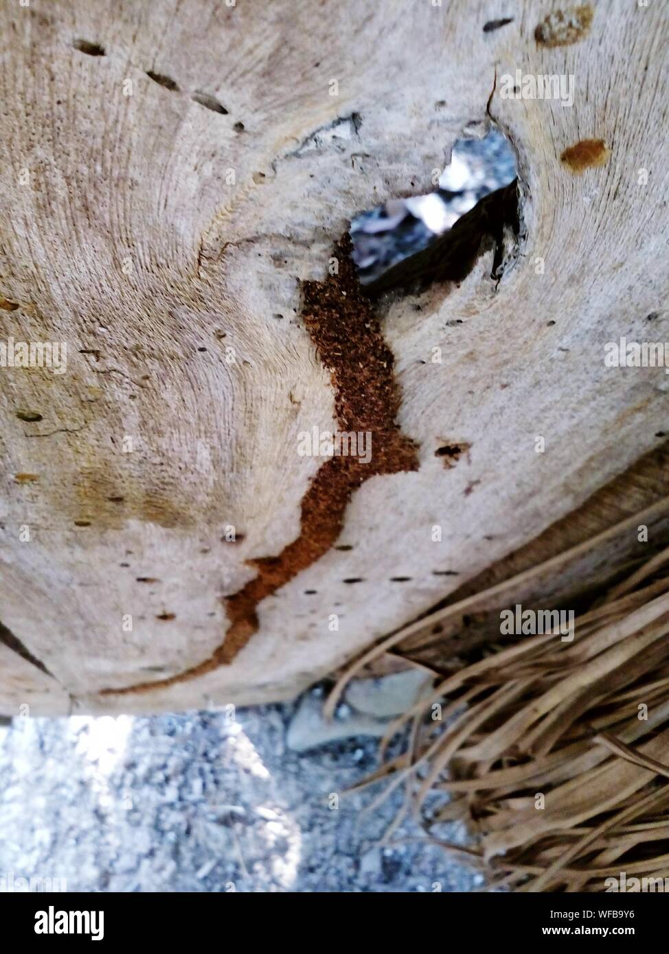 Wooden plank hole hi-res stock photography and images - Alamy