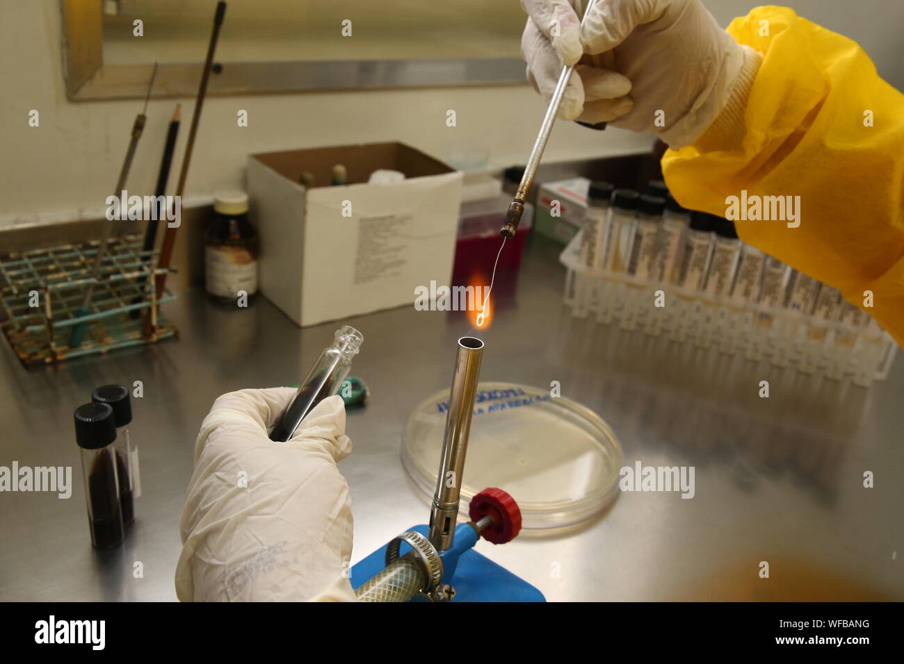 Scientific experiment hi-res stock photography and images - Alamy