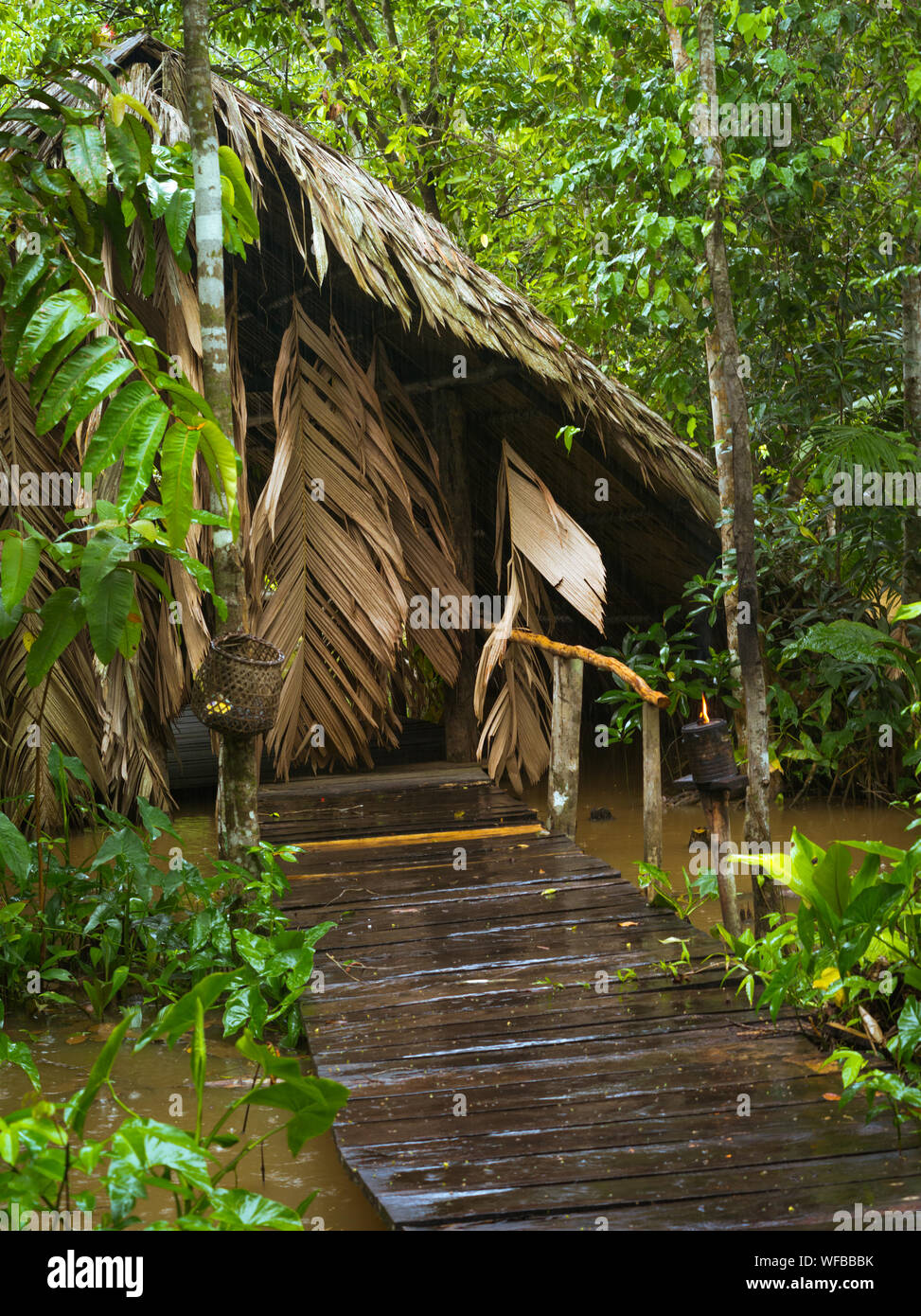 Amazon jungle river huts hi-res stock photography and images - Alamy