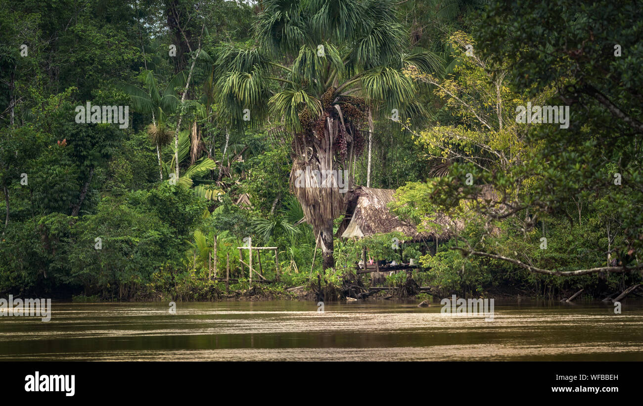 Amazon hut hi-res stock photography and images - Alamy