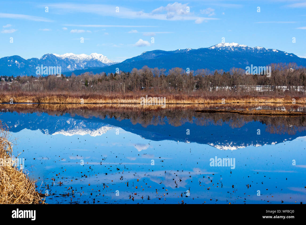 Mountain reflections in Burnaby Lake, British Columbia, Canada Stock ...