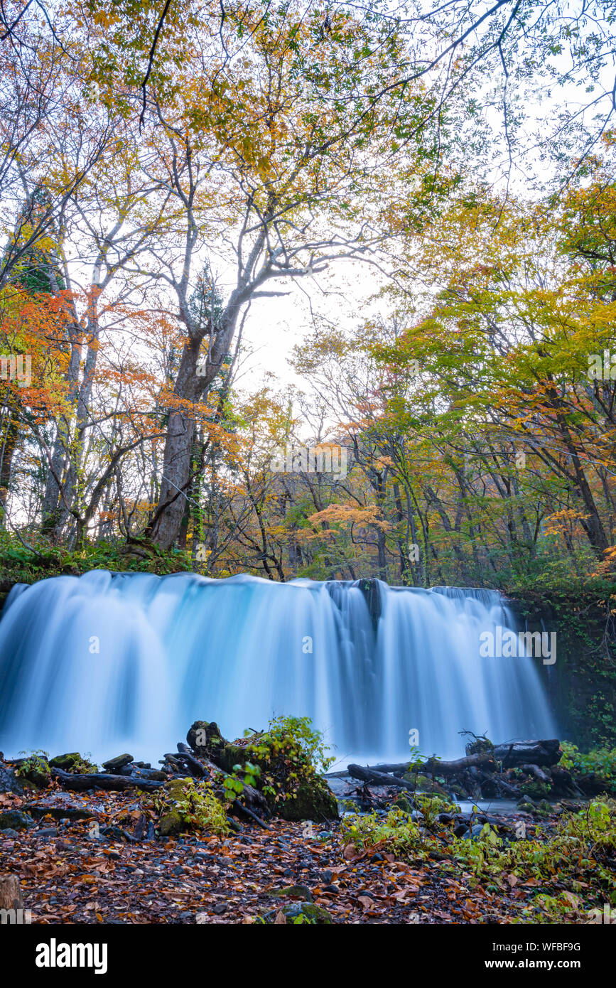 Choshi Otaki Falls ( Oirase Stream ) in sunny day, beautiful fall ...