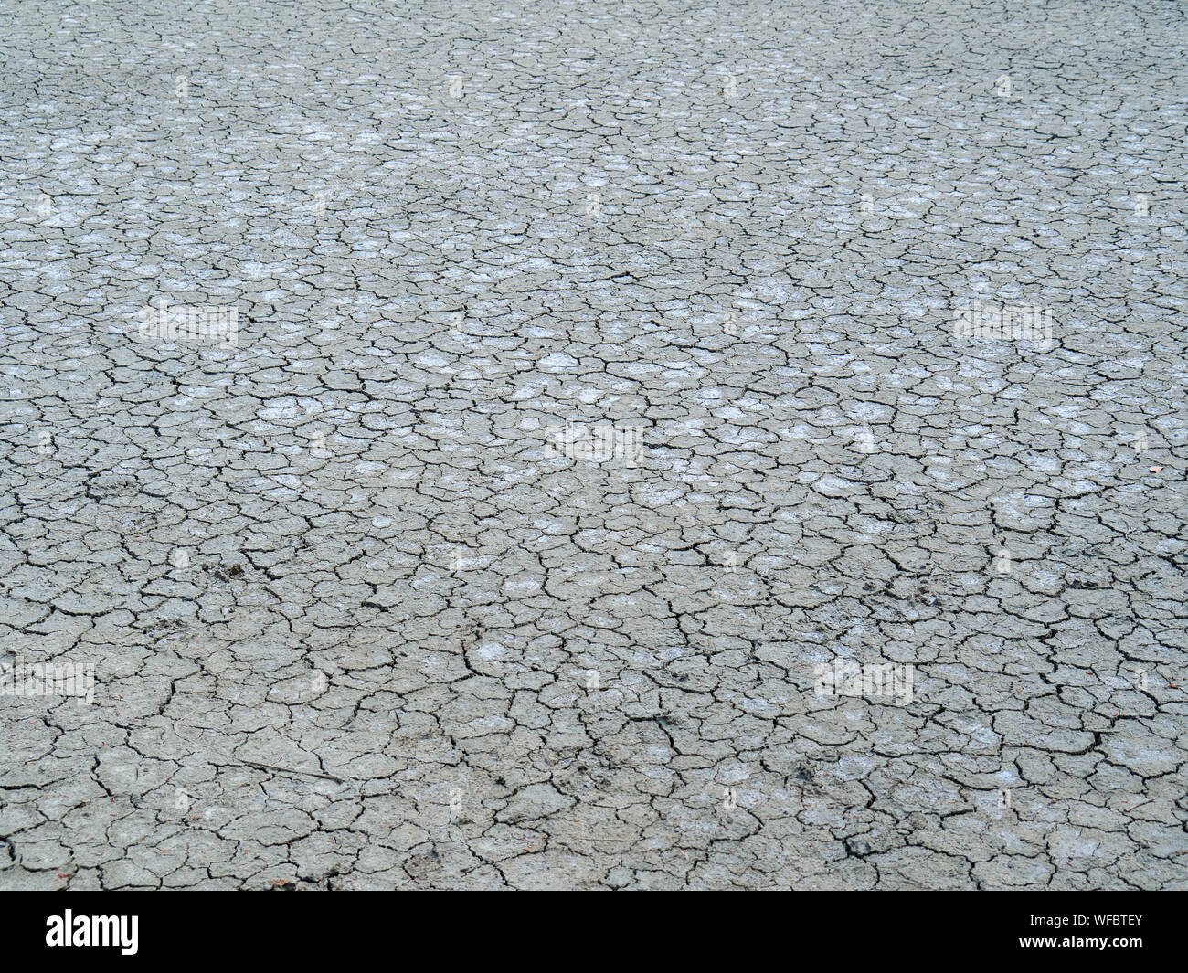 Dry earth covered with small cracks as drought and global warming ...