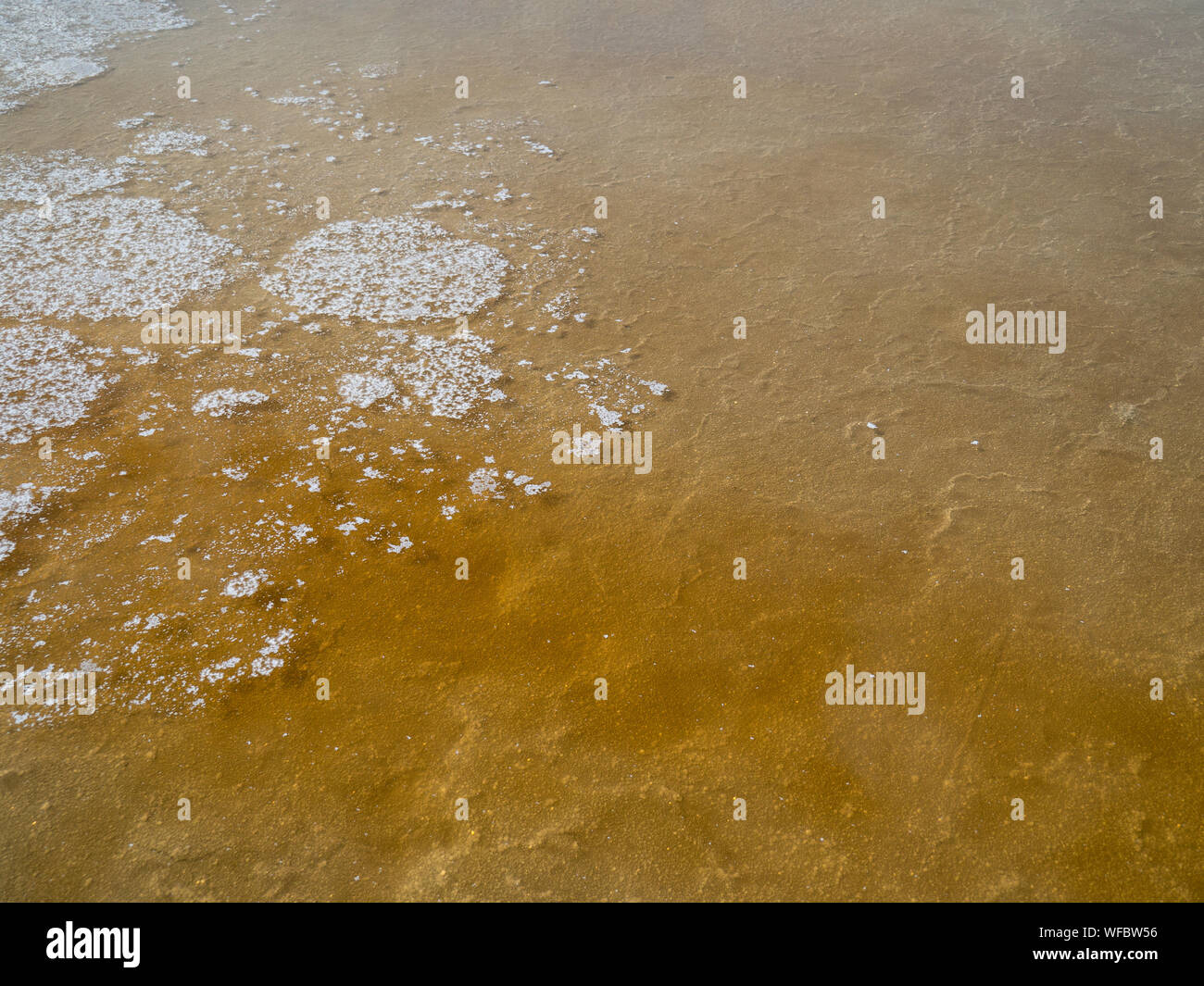 Fleur de Sel in Sea salt fields, salt-pond, salt-farm Stock Photo - Alamy