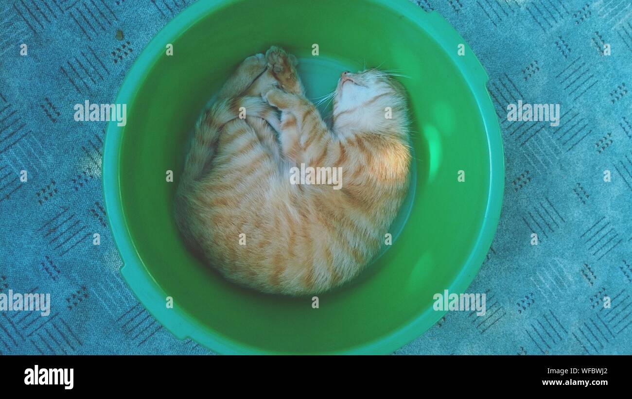 Sleeping in the bucket hi-res stock photography and images - Alamy