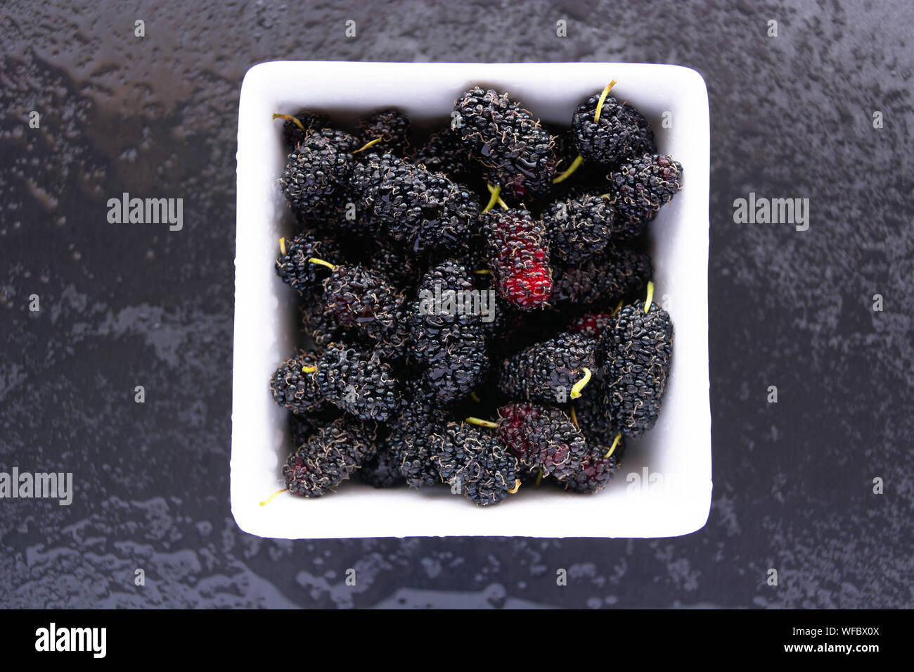 Dark berries in tree hi-res stock photography and images - Alamy