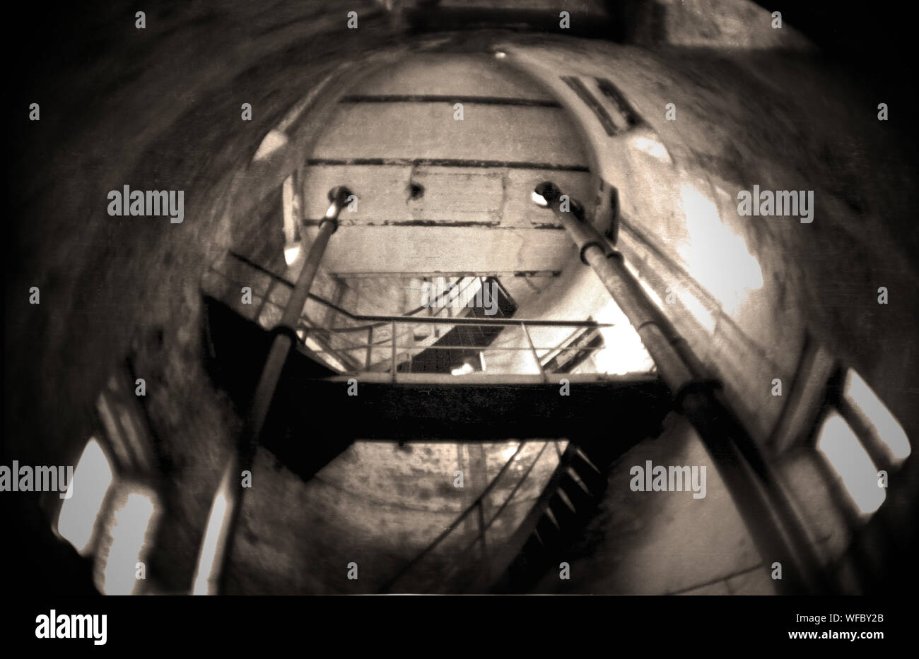 Tube Eye Fish High Resolution Stock Photography and Images - Alamy