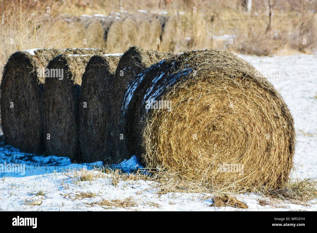 Rolled snow hi-res stock photography and images - Alamy