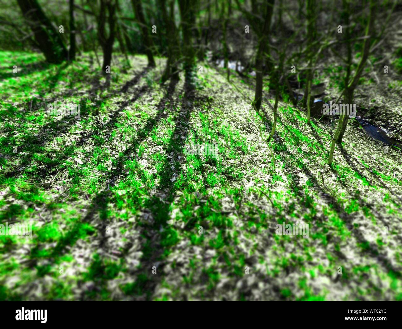 Falling in grass hi-res stock photography and images - Alamy