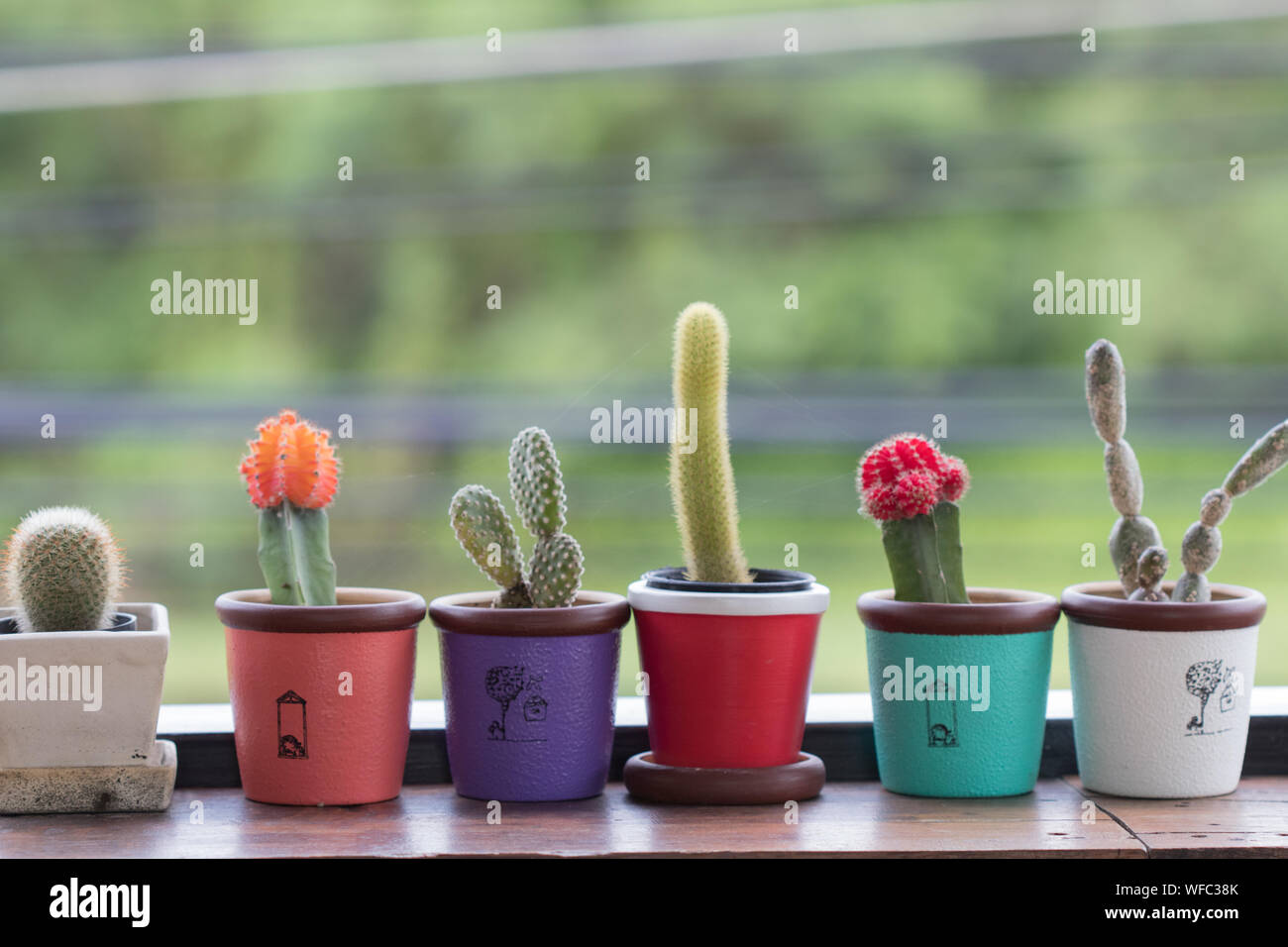 Plant variation hi-res stock photography and images - Alamy