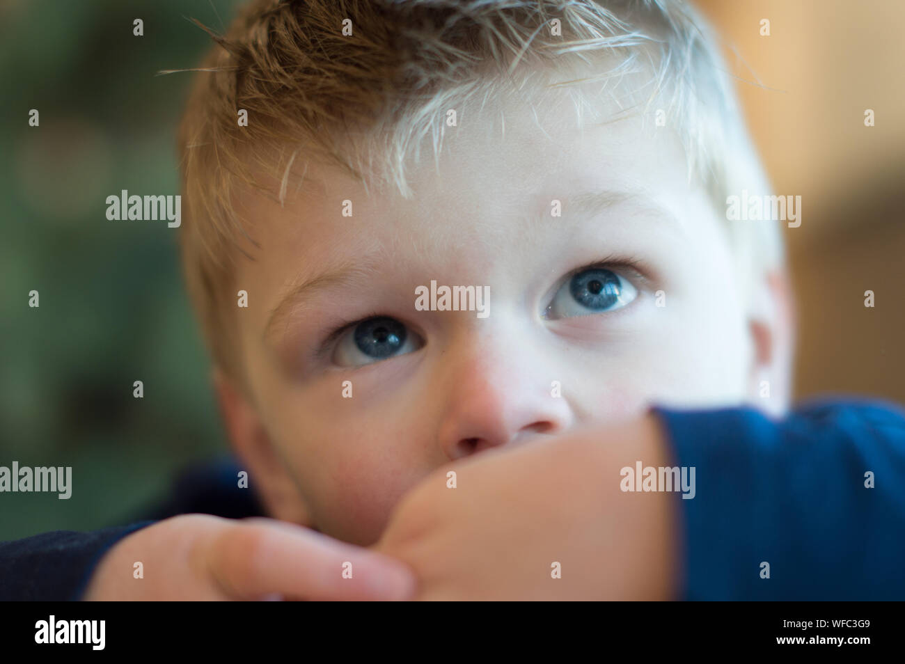 Blue eyes looking hi-res stock photography and images - Alamy