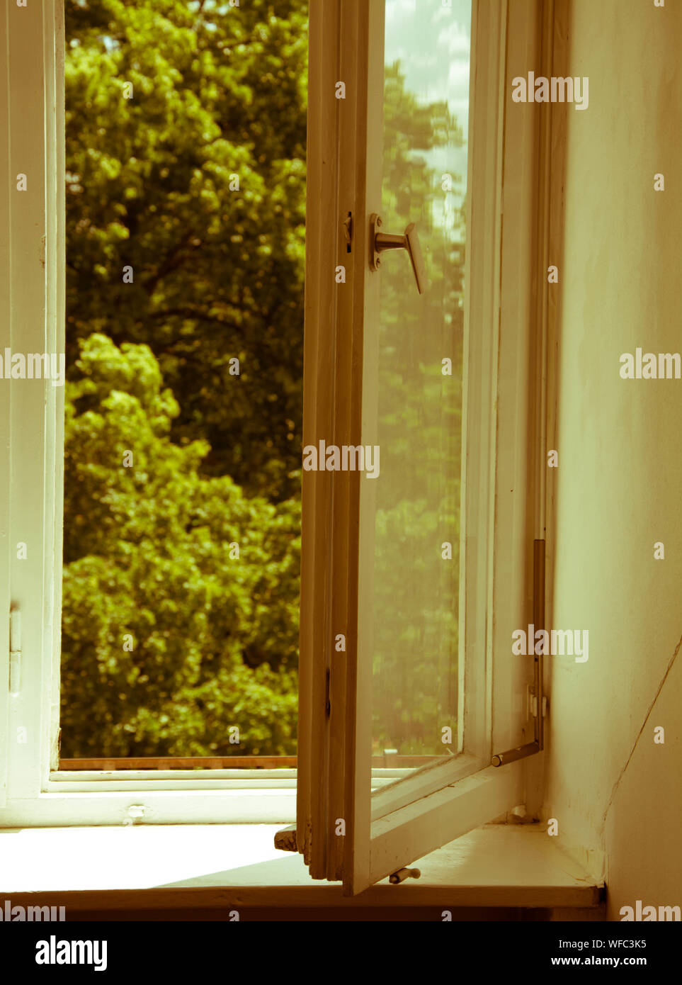 Window open nature hi-res stock photography and images - Alamy