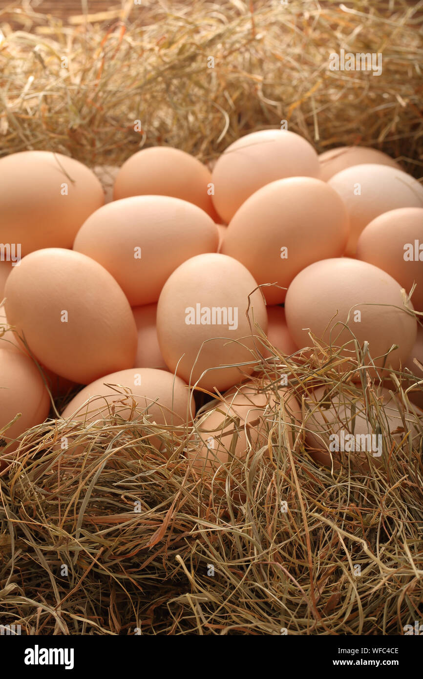 Chicken eggs in hay nest Stock Photo - Alamy