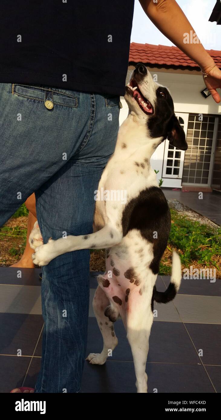 Rearing back hi-res stock photography and images - Alamy