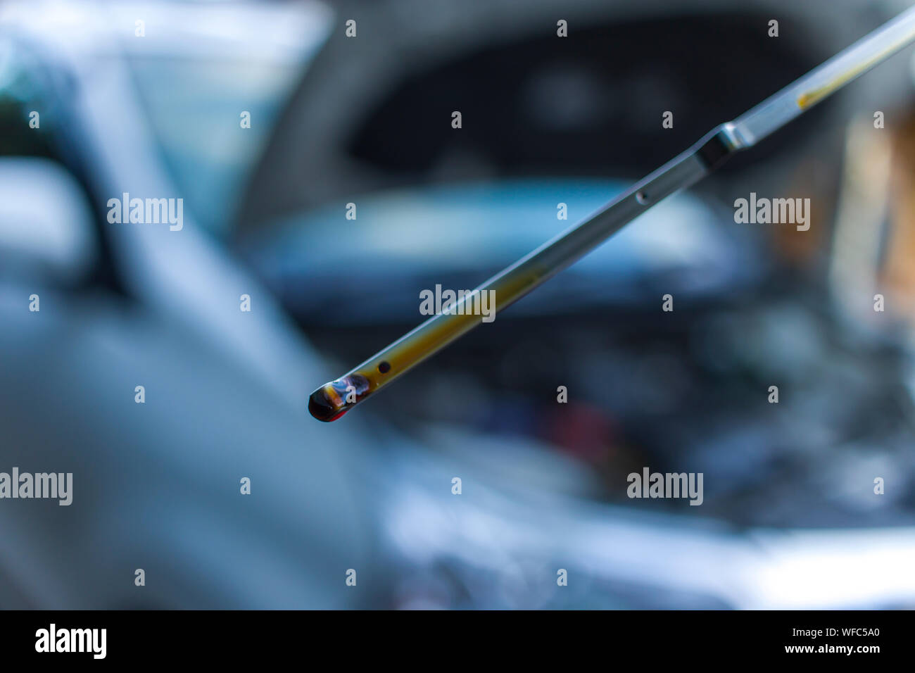 Auto mechanic checking engine oil dipstick in car. Auto mechanic in car ...