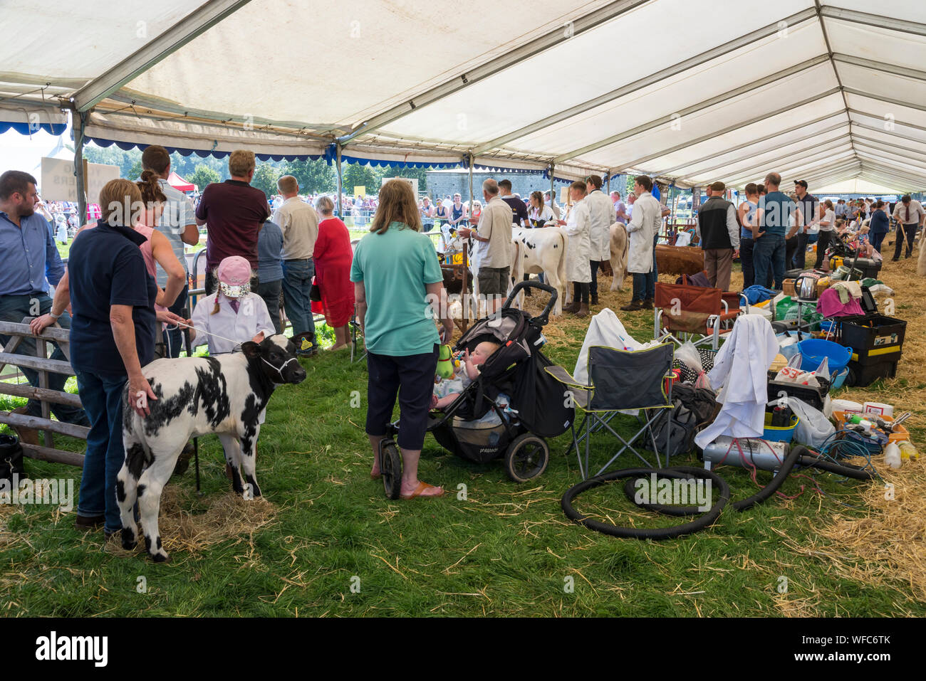 Hope Show on the August bank holiday 2019 in Derbyshire, England. Young ...