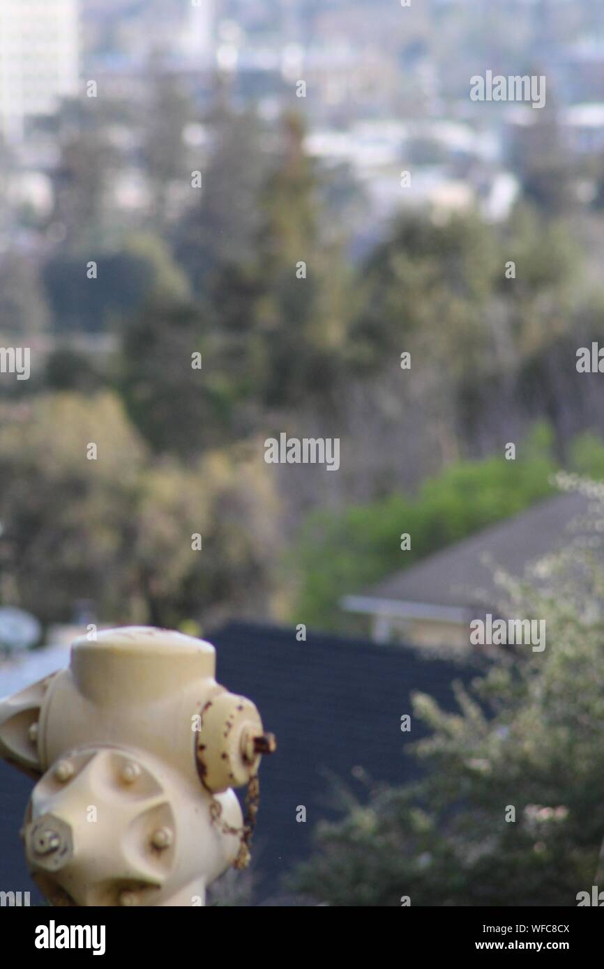 Fire hydrant with tree hi-res stock photography and images - Alamy
