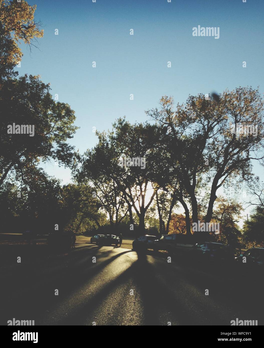 Backlit car hi-res stock photography and images - Alamy