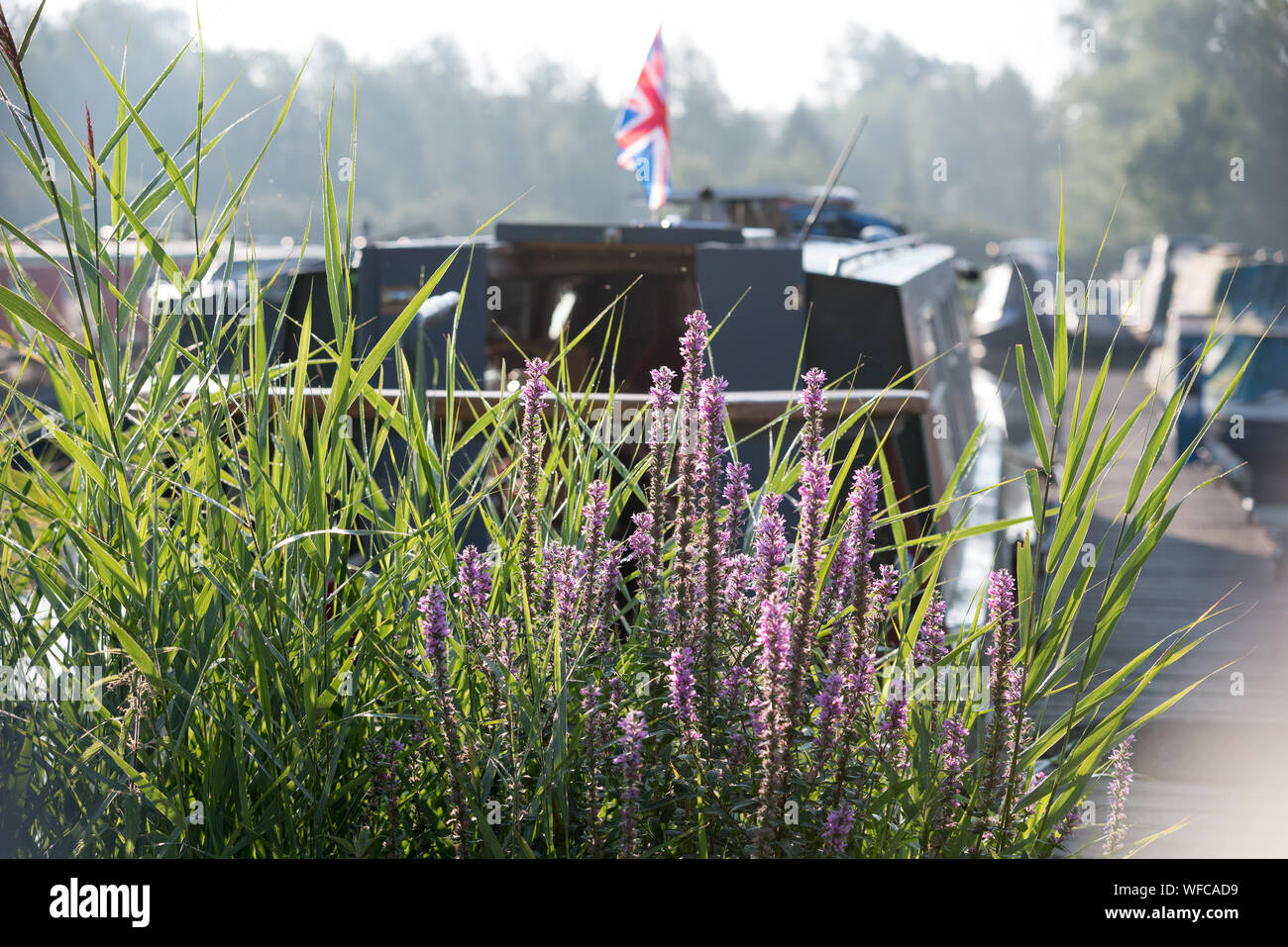 canal boat on british water holiday Stock Photo - Alamy