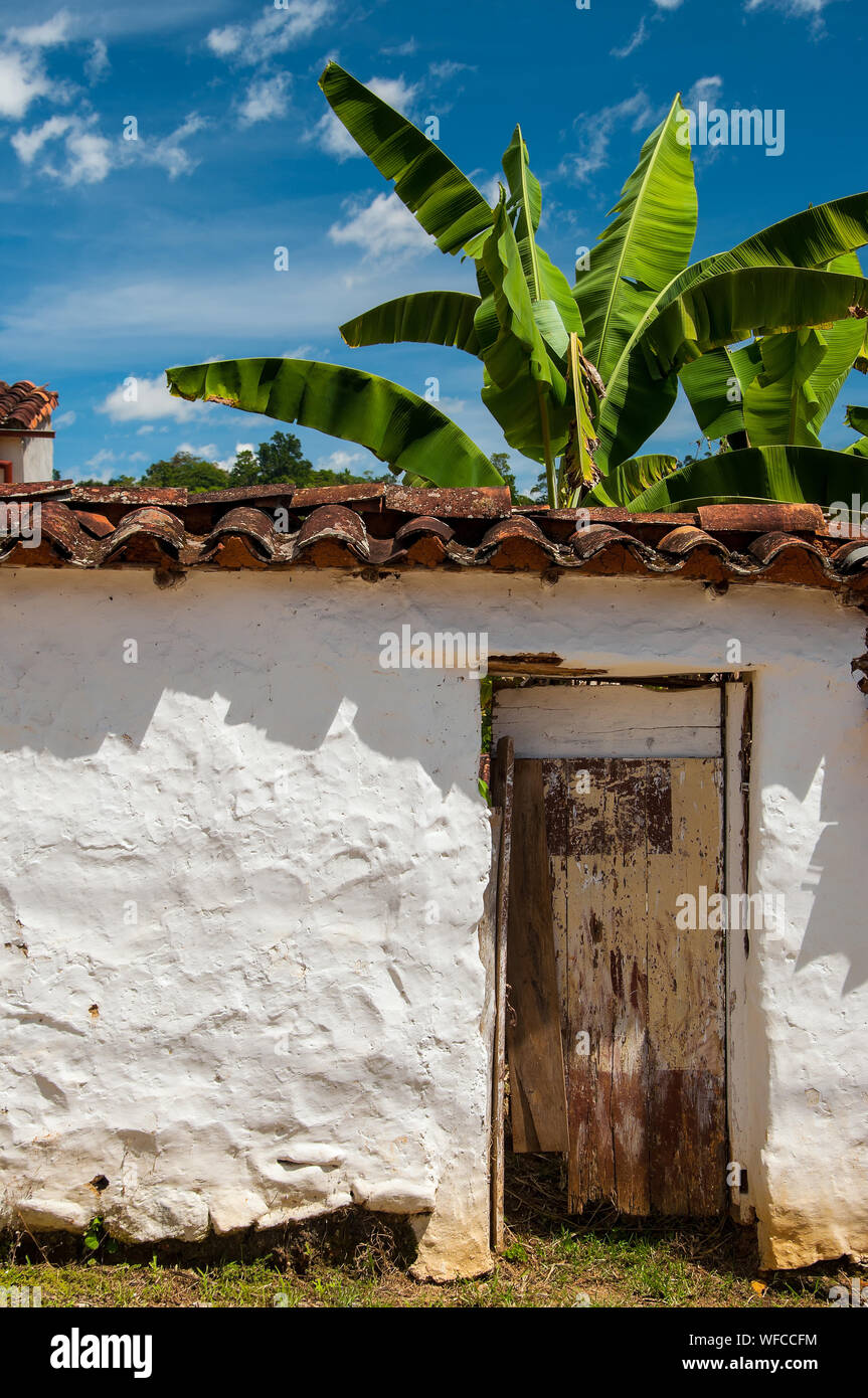 House behind tree hi-res stock photography and images - Alamy