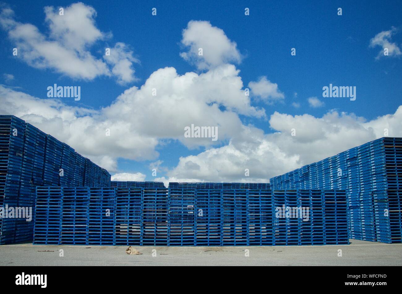 Blue Pallets High Resolution Stock Photography and Images - Alamy