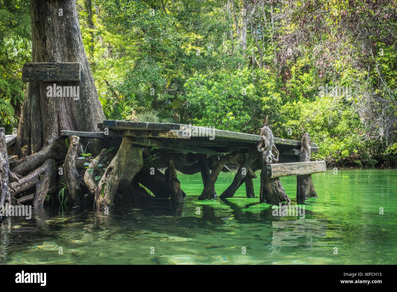Lake with wood platform hi-res stock photography and images - Alamy